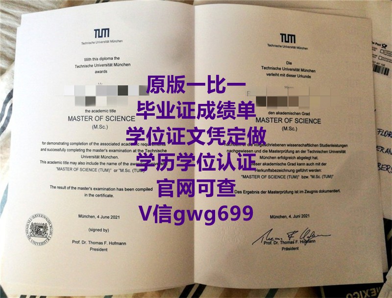 TUM Fake diploma效果PDF图 天空留学俱乐部